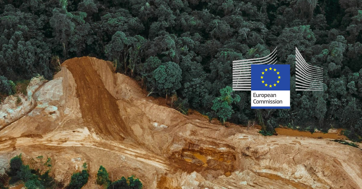 Deepdive into the Updated EUDR FAQs (Version 4)